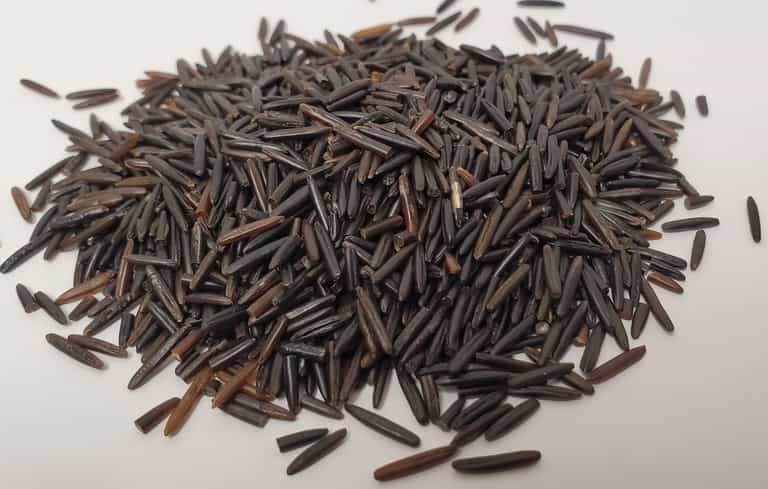 100% Organic Minnesota Paddy Wild Rice - Buy Online | Foraged