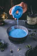BUTTERFLY PEA FLOWER | Blue Healer - Foraged