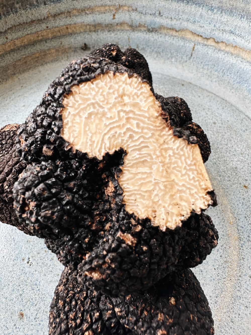 Black Summer Truffles (Tuber aestivum) - Buy Online | Foraged