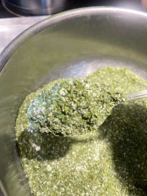 Wild Foraged Ramp Salt | Sustainably Harvested | 2 oz | Allium ...