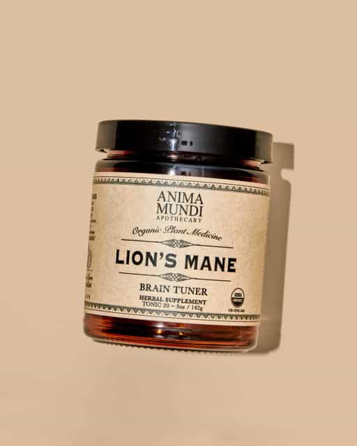 LION'S MANE | Brain Super-Tonic* - Buy Online | Foraged