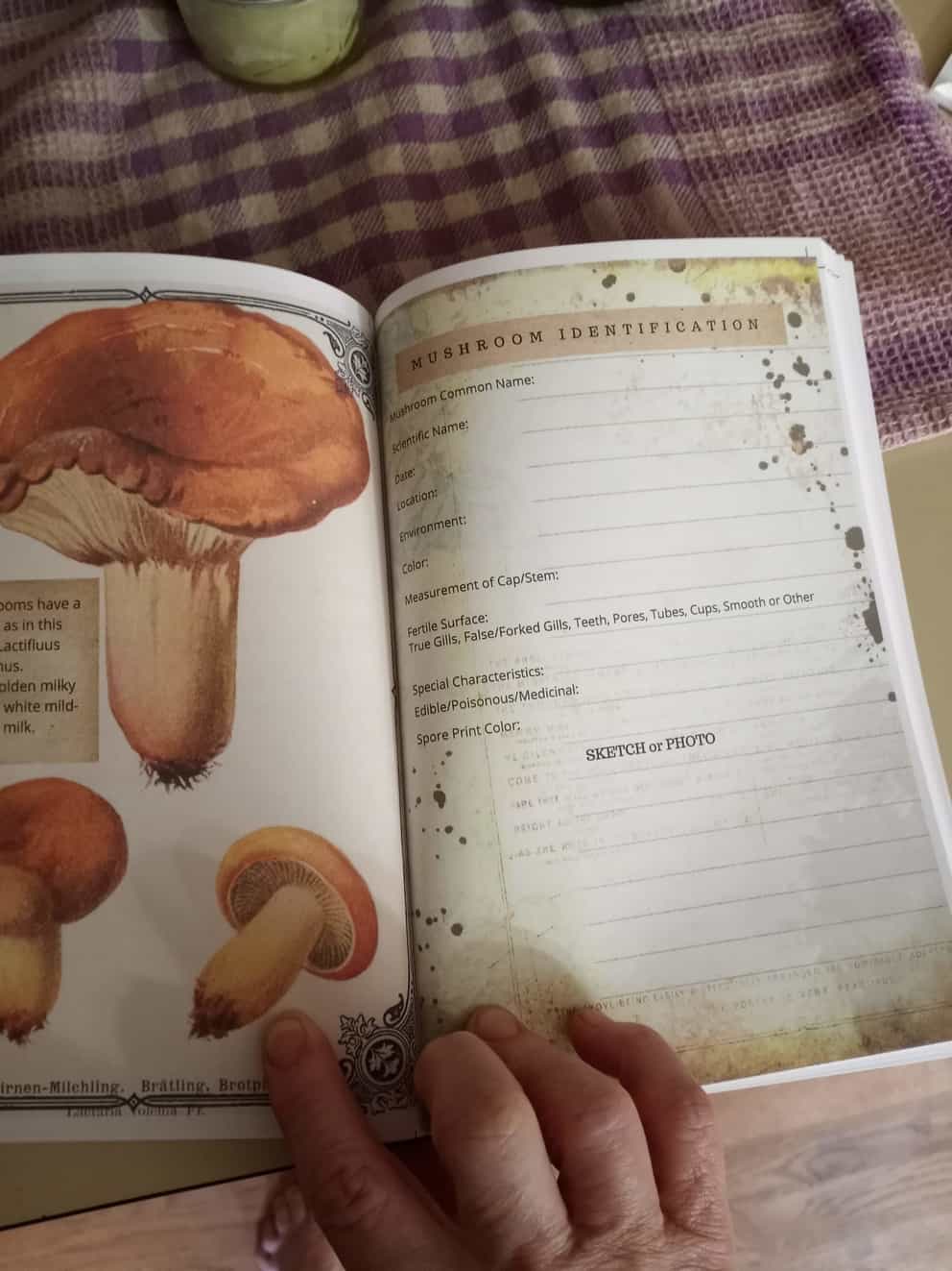 The Forager Chick's Wild Mushroom Journal & Log Book - Buy Online | Foraged