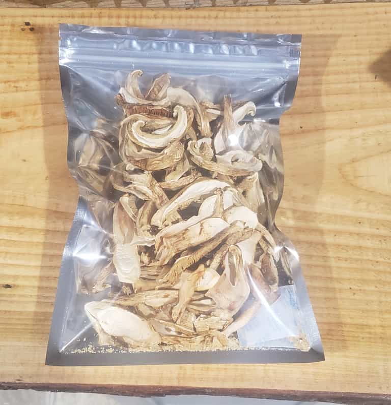 Dried Matsutake - FREE SHIPPING INCLUDED! - Buy Online | Foraged