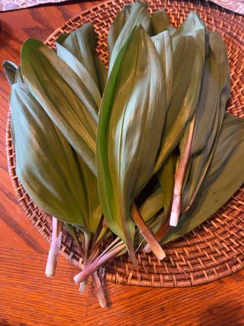 Wild Foraged Ramp Salt | Sustainably Harvested | 2 oz | Allium ...