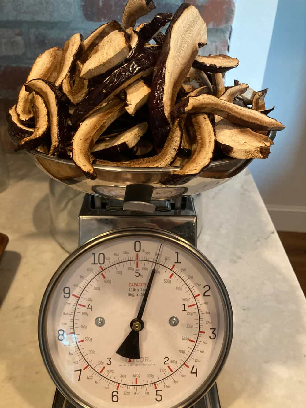 Wild Reishi (8oz dried) - Buy Online | Foraged