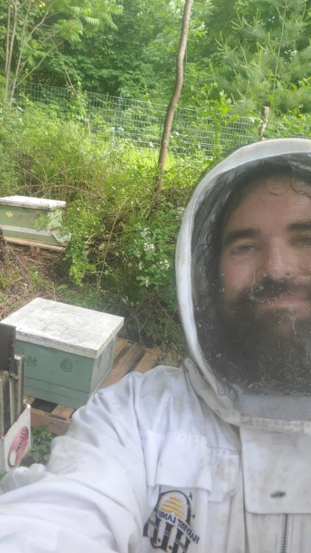 Catskill Blueberry Forest wildflower honey jar 1.5lb - Foraged