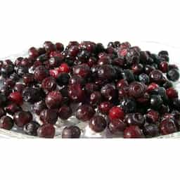Frozen Wild Mountain Huckleberries - Buy Online | Foraged