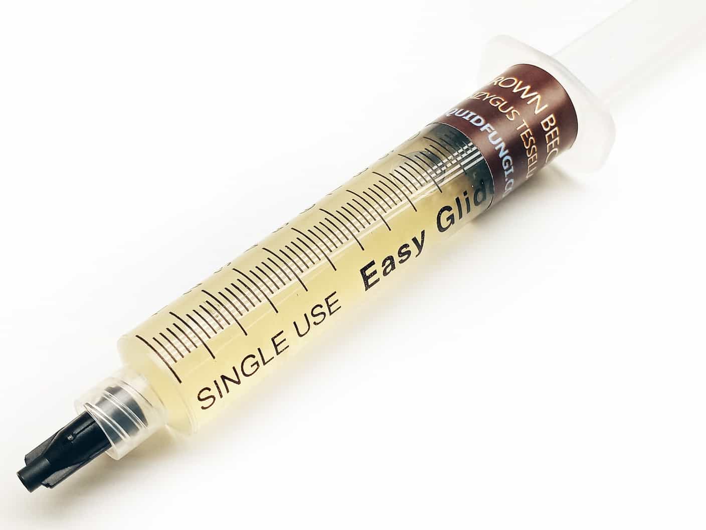 Brown Beech Liquid Culture Syringe - Buy Online | Foraged