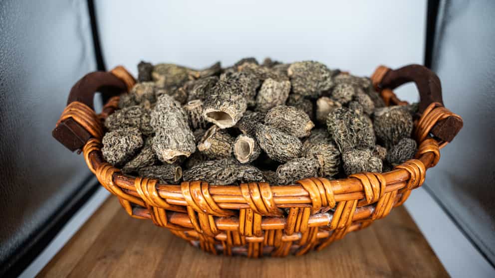 Wild Dried Alaskan Morels - Buy Online | Foraged