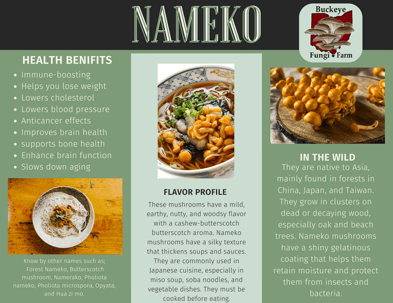 Buy - Fresh Nameko Mushrooms