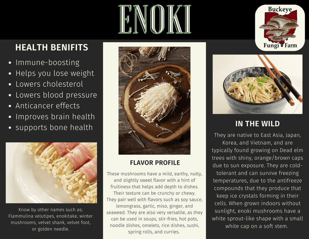 Fresh Enoki Mushrooms - Buy Online | Foraged