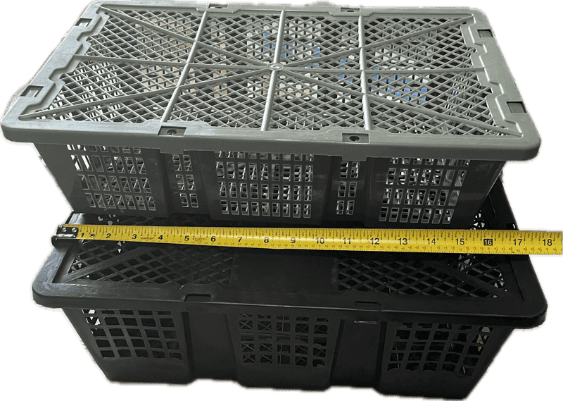 Large Mushroom Baskets 5-pack with lids - Foraged