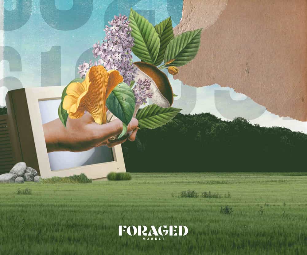 Foraged | The Marketplace for Wild & Specialty Food