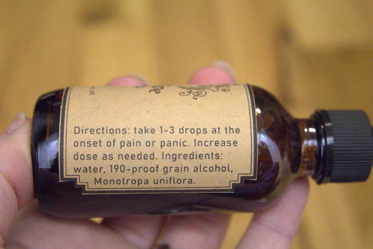 Ghost Pipe Tincture - Foraged