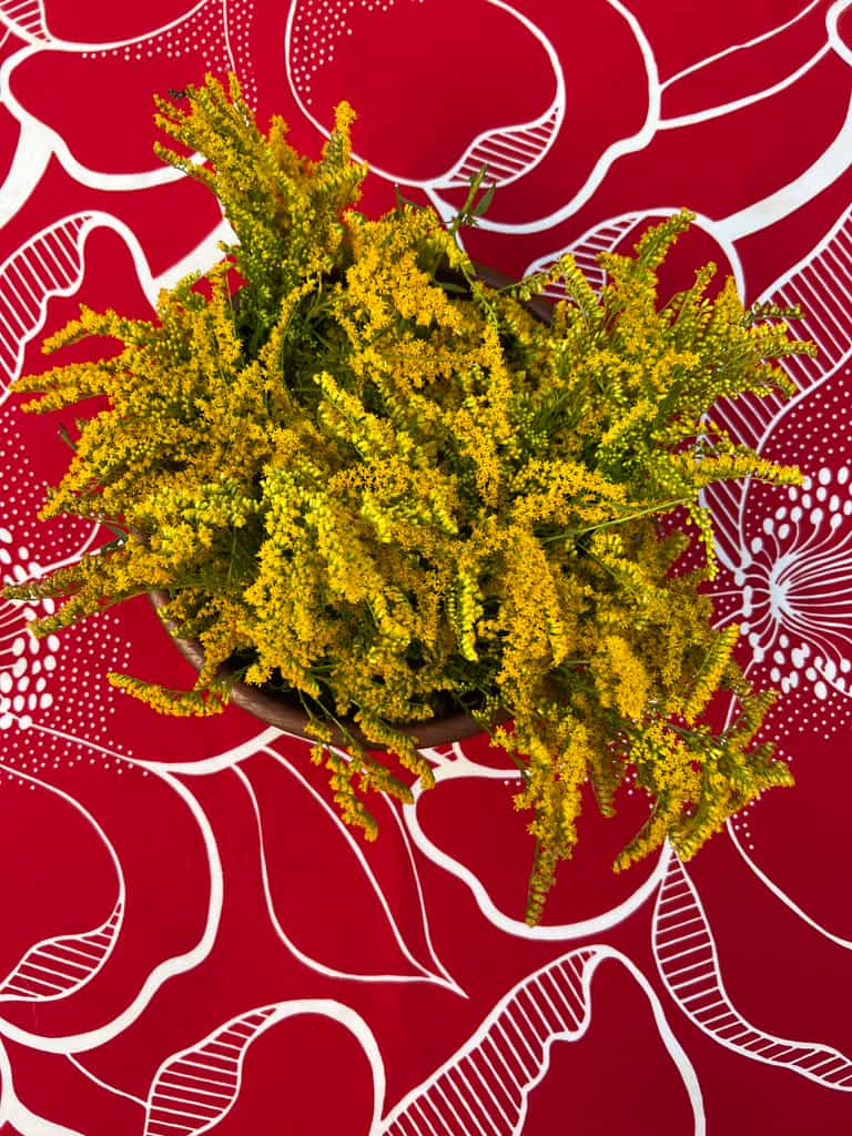 Goldenrod, Wild Dried Flowers - Foraged