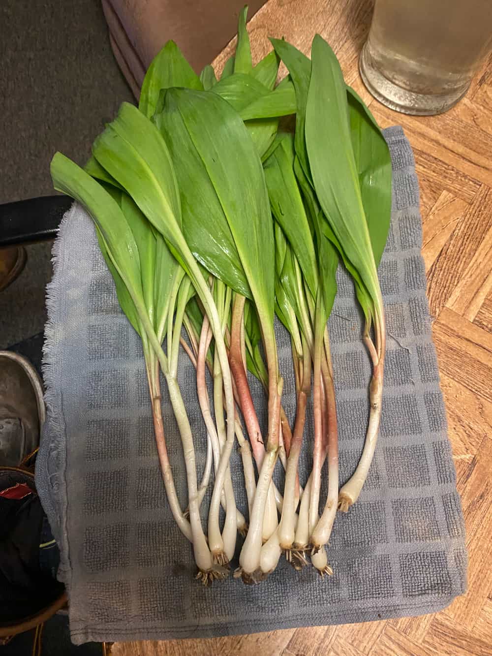 Extra large Ramps - Buy Online | Foraged