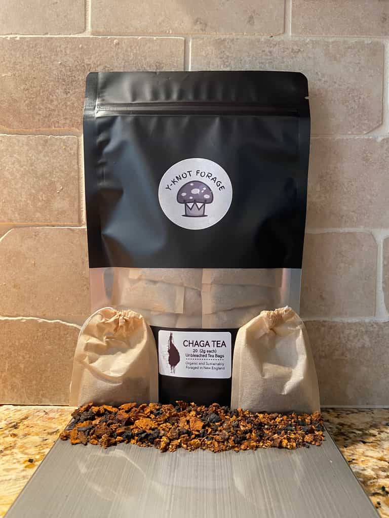 (20) CHAGA TEA BAGS = 40 CUPS OF TEA!! ALL NATURAL DRIED CHAGA. NO ...