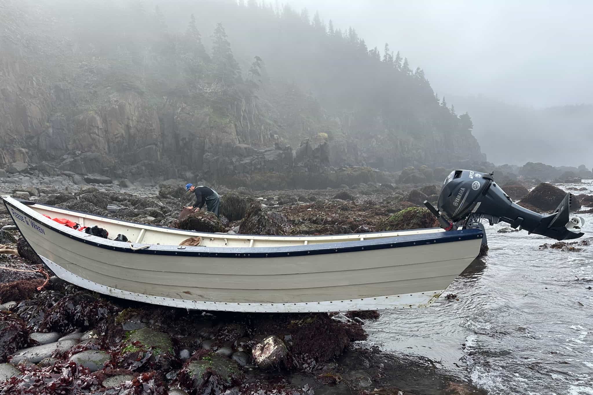 Wild Dark Harbour Dulse Flakes - Foraged
