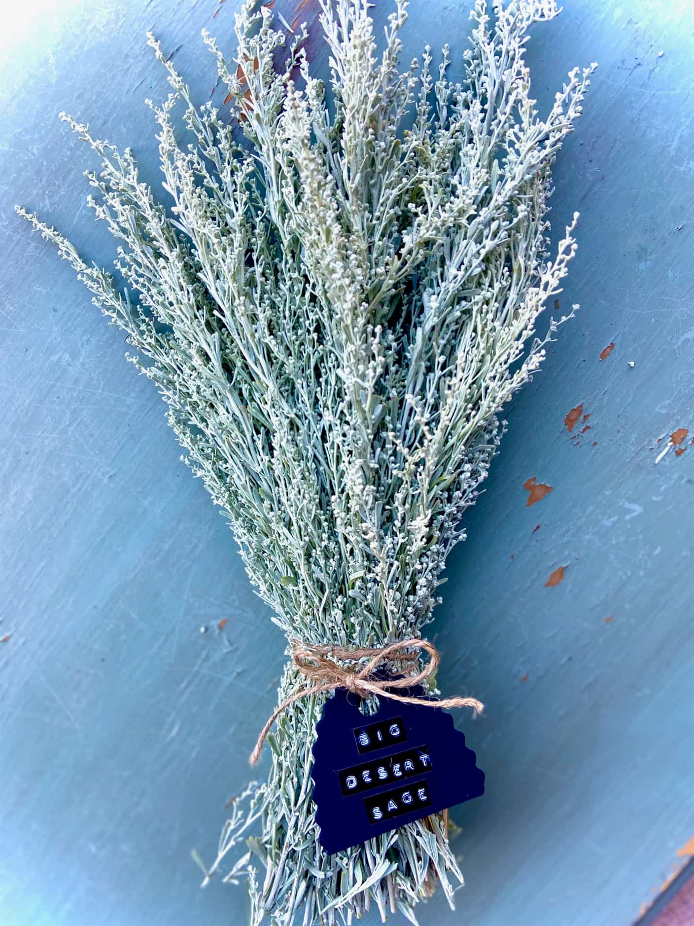 6oz Wild Foraged Big Desert Sage (Artemisia tridentata) from the Mojave ...