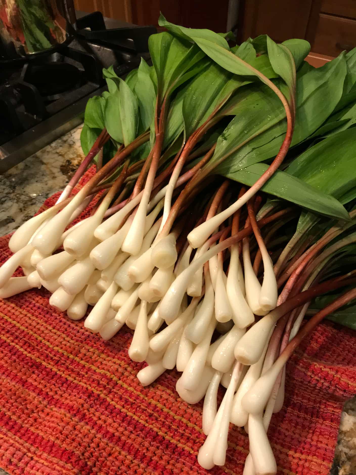 Ramps! (dehydrated and ground) - Buy Online | Foraged