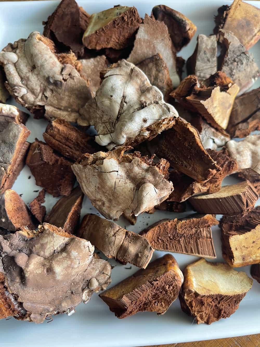 Dried Wild Ganoderma applanatum (Artist Conk) - Buy Online | Foraged