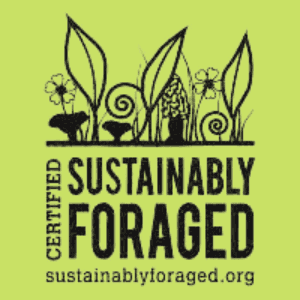 Great Lakes Treats Wild Ramp/Leek Powder 1oz shaker - Buy Online | Foraged