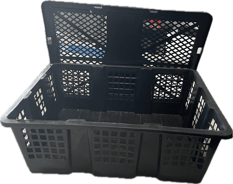 Large Mushroom Baskets 5-pack with lids - Buy Online | Foraged