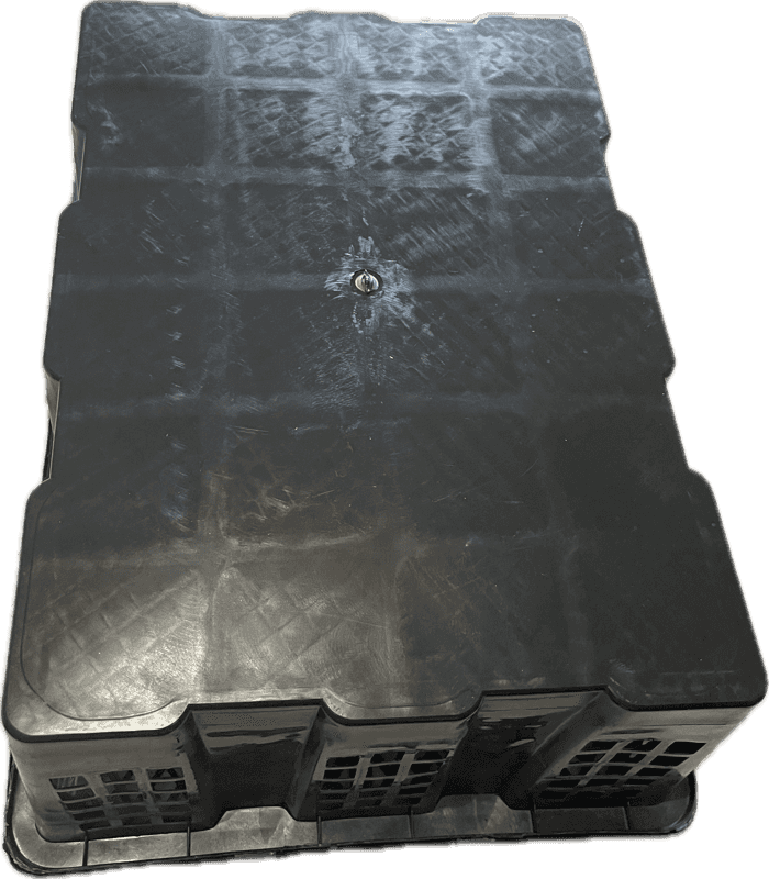 Large Mushroom Baskets 5-pack with lids - Foraged