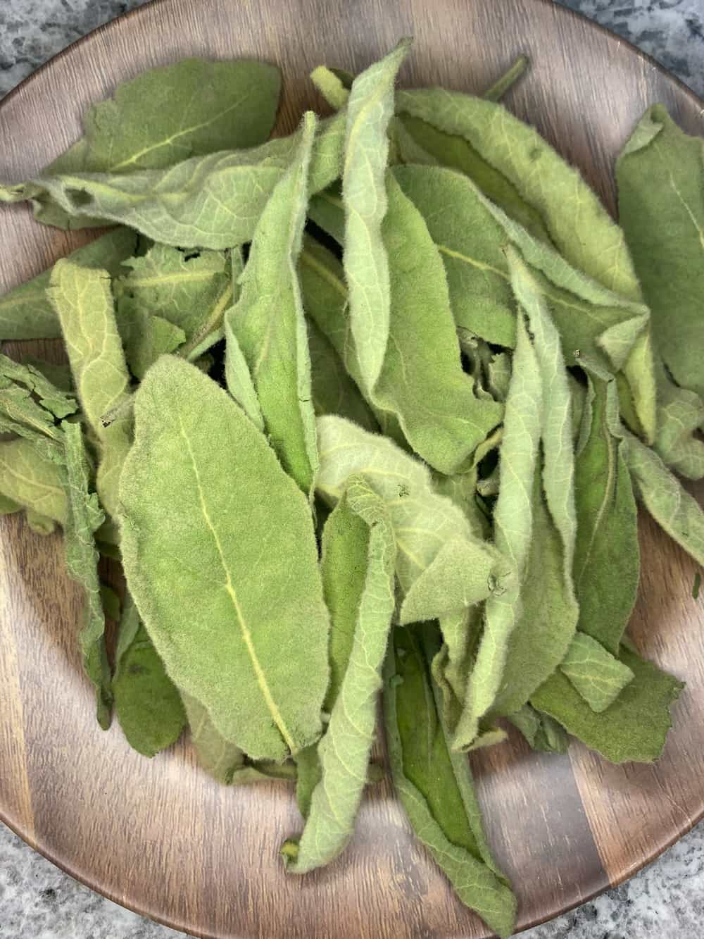 Dried Wild 1st Year Mullein Leaves - Buy Online | Foraged