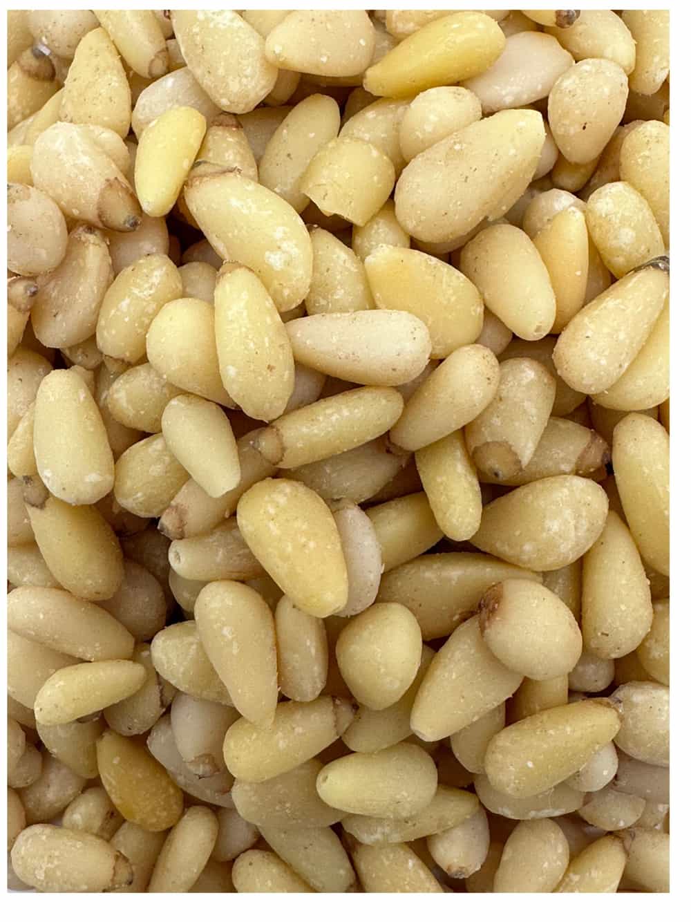 Shelled Pinon Nuts 3 oz - Buy Online | Foraged