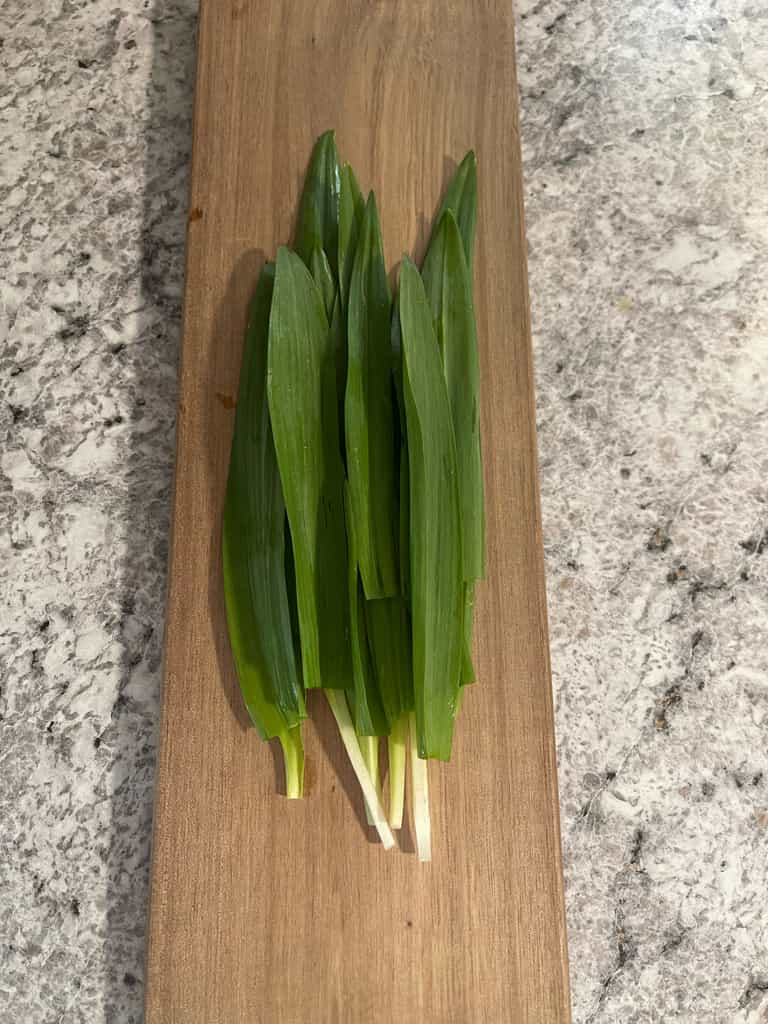 Foraged | The Marketplace for Wild & Specialty Food