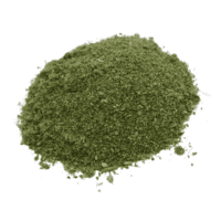 Great Lakes Treats Wild Ramp/Leek Powder 1oz shaker - Buy Online | Foraged