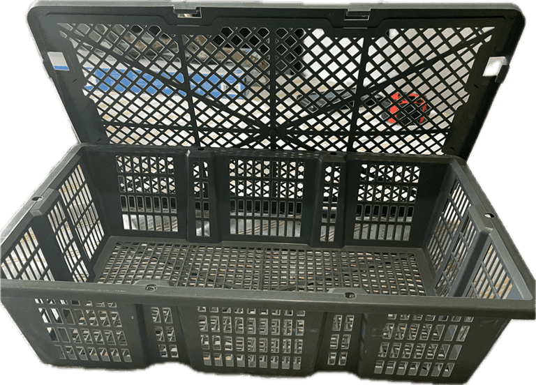 Small Mushroom Basket 5-pack with locking lid - Foraged