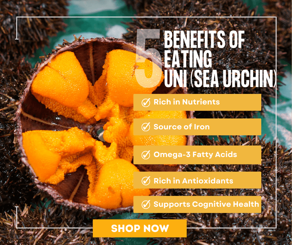 FRESH SEA URCHIN ROE (UNI) - Buy Online | Foraged