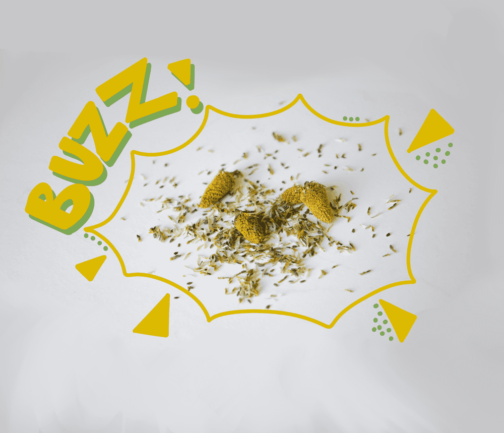 Organic Buzz Buttons - Buy Online | Foraged