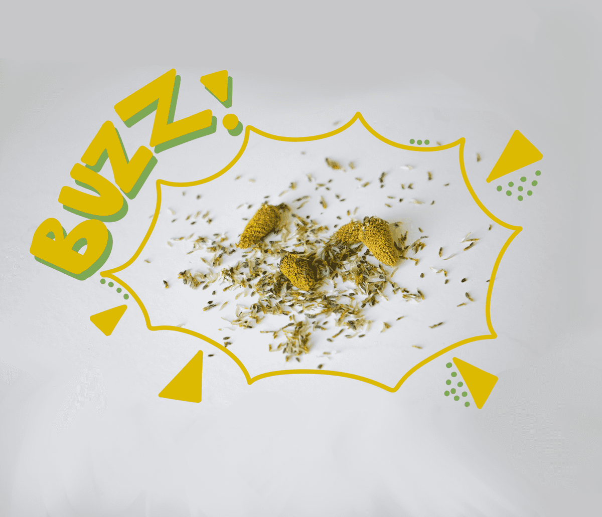 Organic Buzz Buttons - Buy Online | Foraged