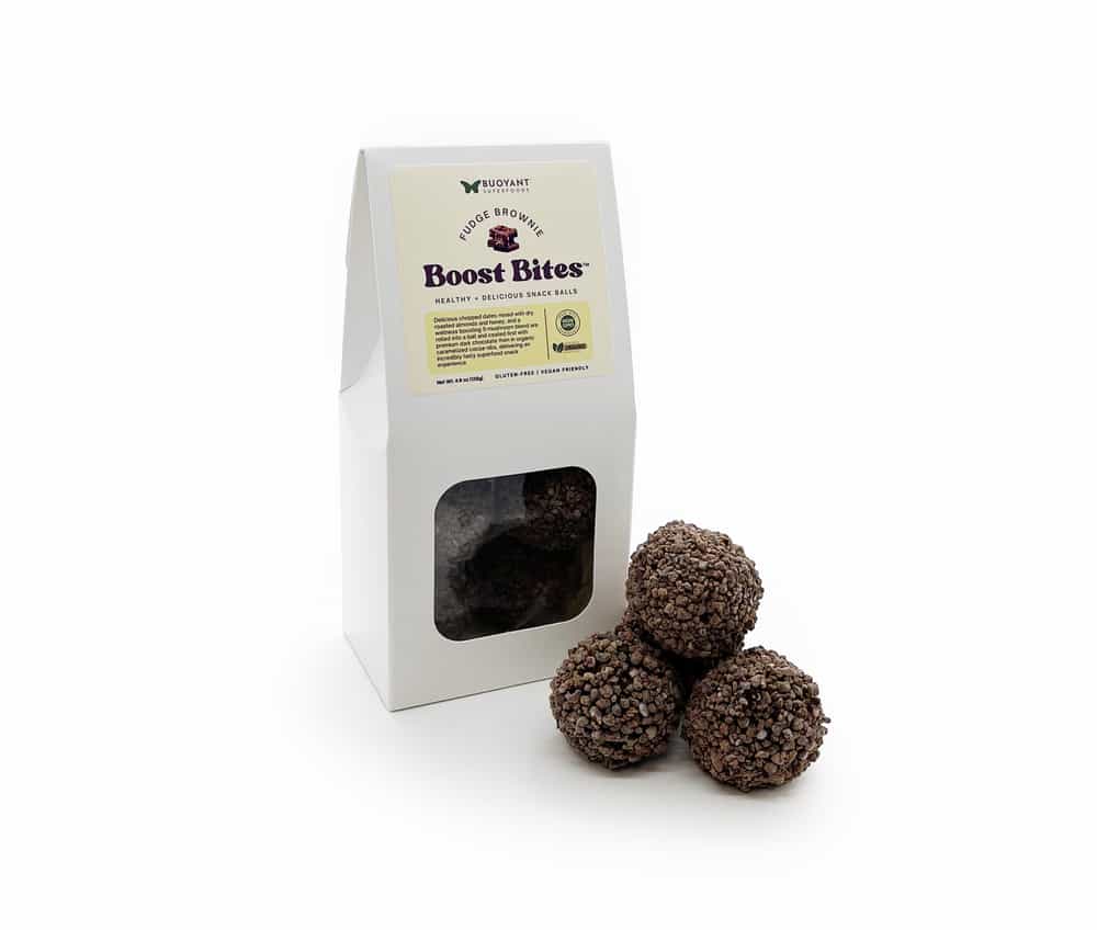 Fudge Brownie BOOST BITES Snack Balls - Buy Online | Foraged