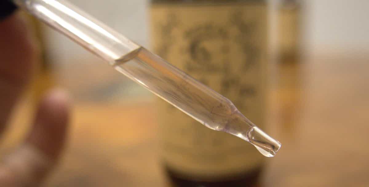 Ghost Pipe Tincture - Foraged