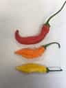 Aji Strawberry Drop Limon Kellu Uchu Chile Heirloom Pepper Premium Seed ...