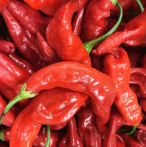 Aji Strawberry Drop Limon Kellu Uchu Chile Heirloom Pepper Premium Seed ...