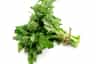 Broccoli Raab Spring Rapini Heirloom Premium Seed Packet - Buy Online ...