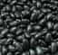 Ayocote Negro Frijoles Black Bean Heirloom Seed Packet - Buy Online ...