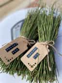 1 lb Wild Foraged Fresh Cut California Mormon Tea (Brigham, Indian Tea ...