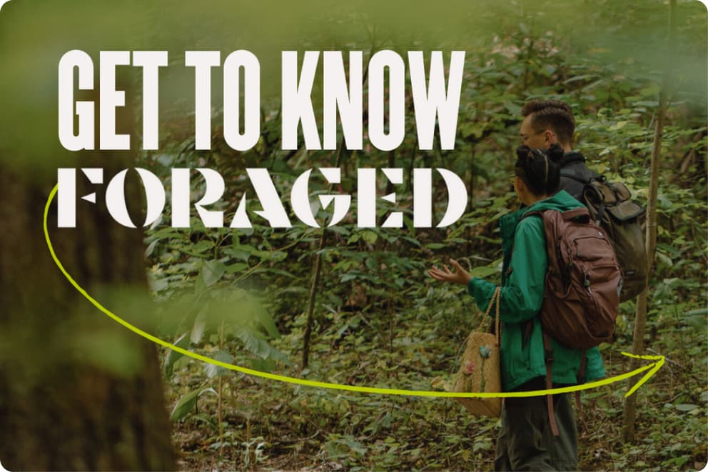 Foraged | The Marketplace for Wild & Specialty Food