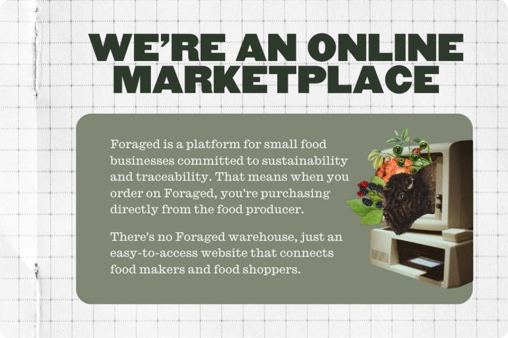 Foraged | The Marketplace for Wild & Specialty Food