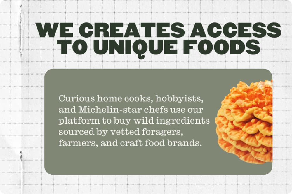 Foraged | The Marketplace for Wild & Specialty Food