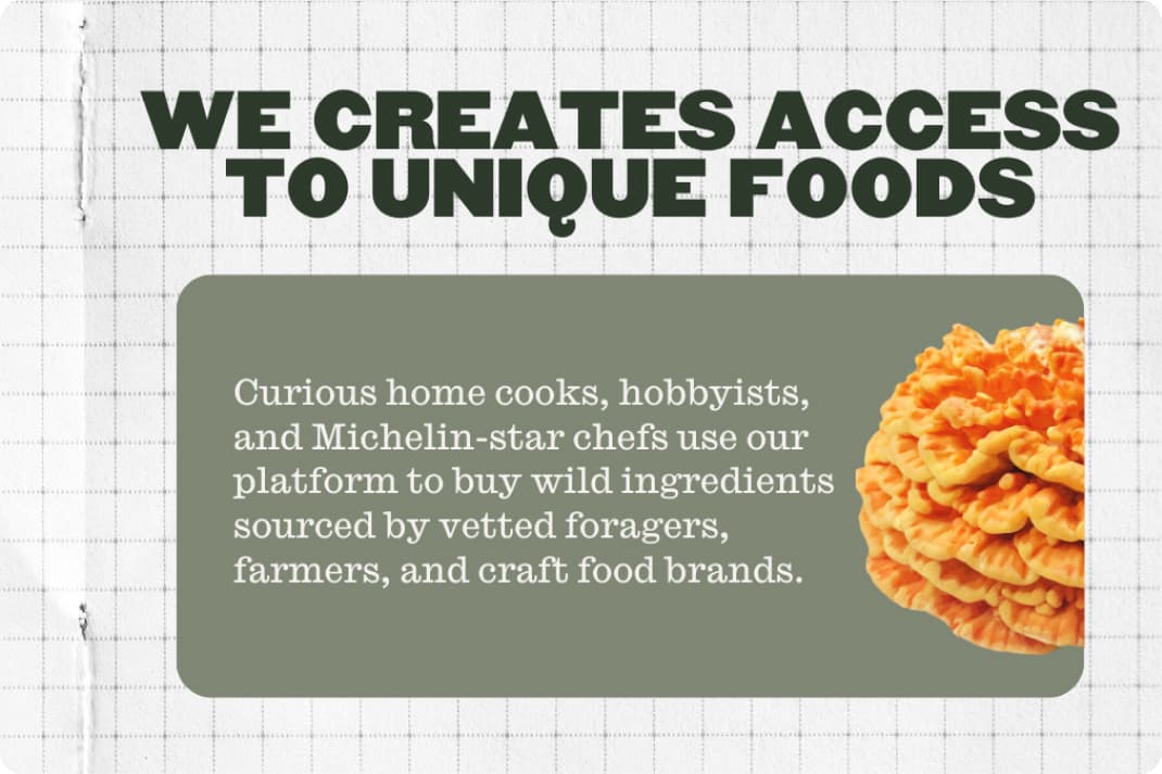 Foraged | The Marketplace for Wild & Specialty Food