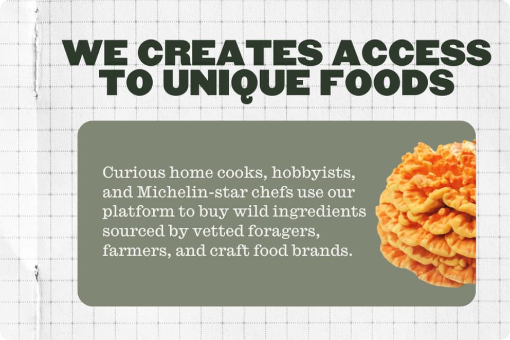 Foraged | The Marketplace for Wild & Specialty Food