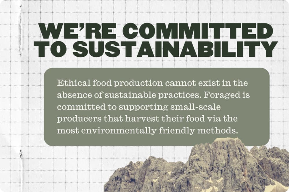 Foraged | The Marketplace for Wild & Specialty Food