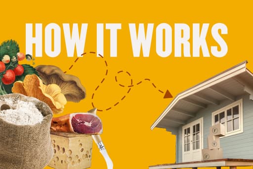 Foraged | The Marketplace for Wild & Specialty Food